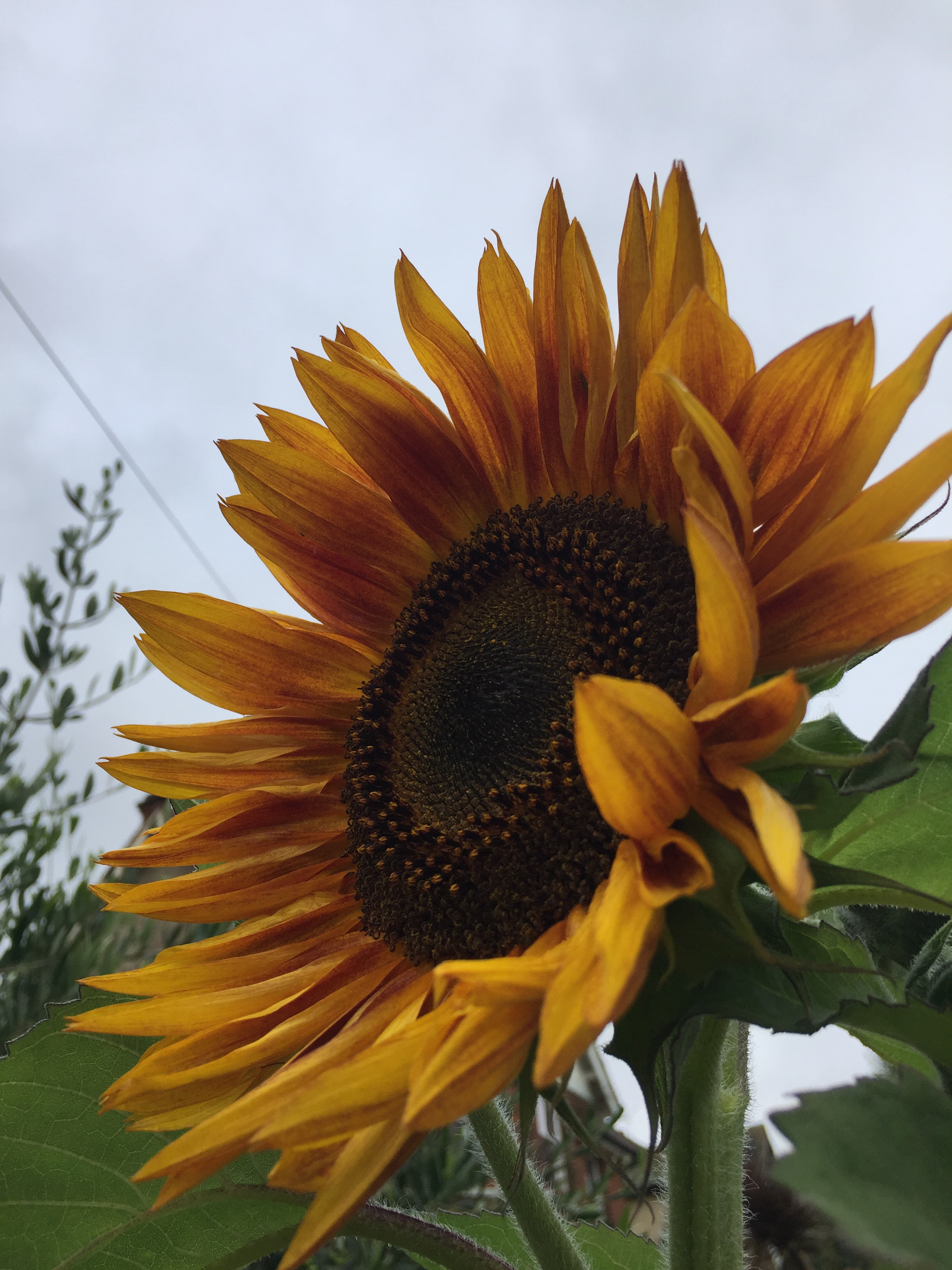 How to write your own Happy Note (and why you should) – Our Happy Notes